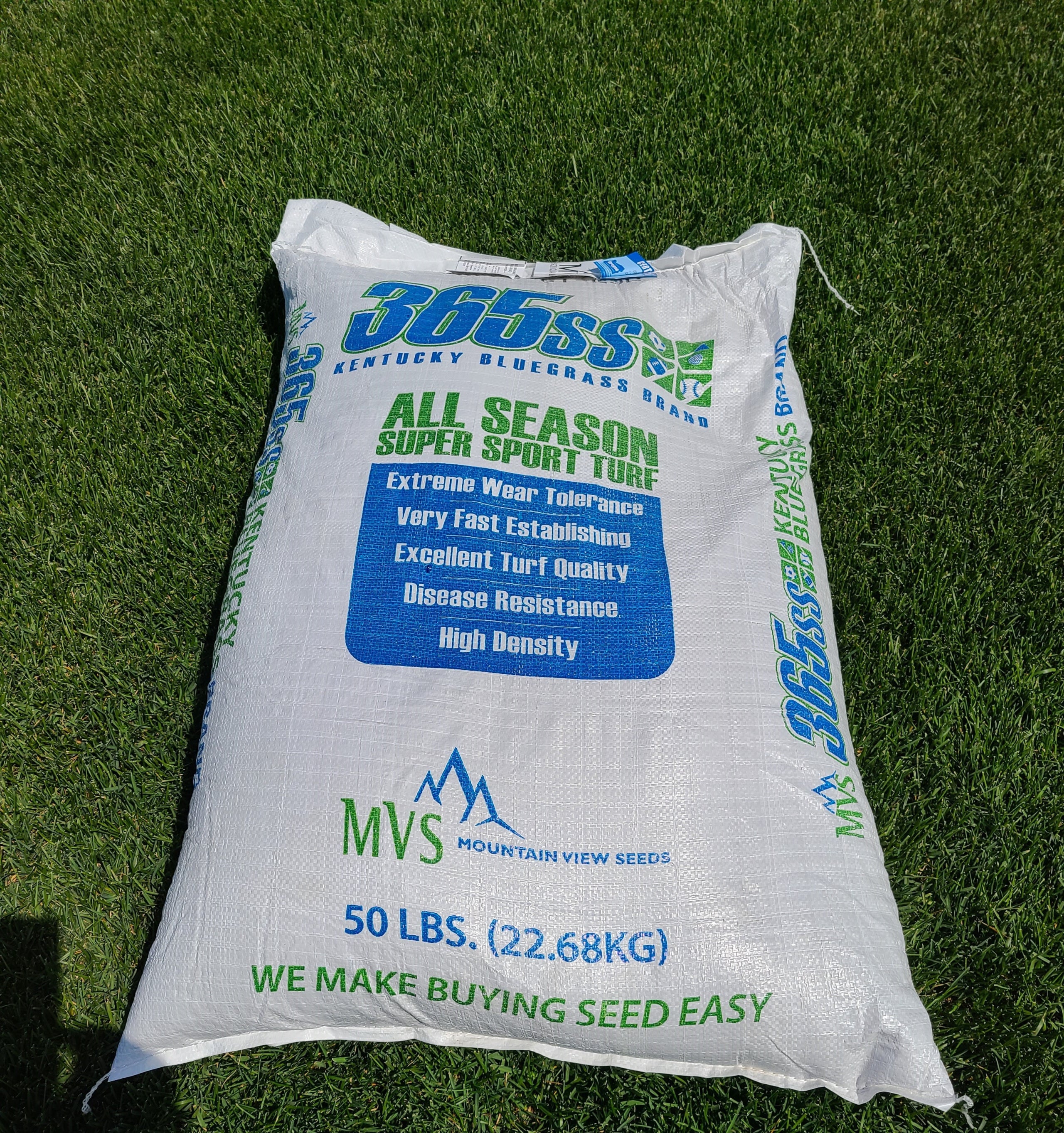 50# 365ss Blue Grass Sod Seed | My Site